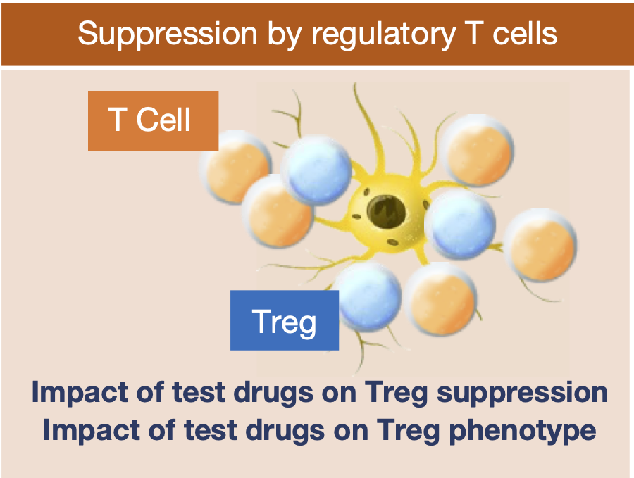 Celentyx Ltd | Immune-Oncology CRO | in vitro assays primary tumours